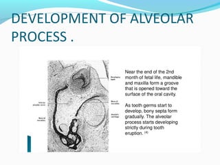 Alveolar bone in health and disease | PPT