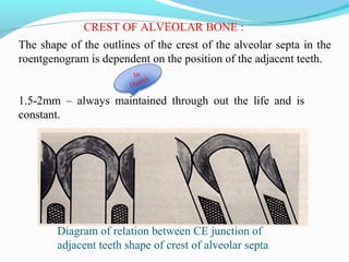 Alveolar bone in health and disease | PPT