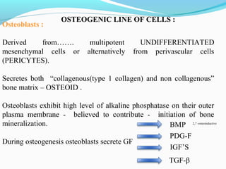 Alveolar bone in health and disease | PPT