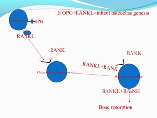Alveolar bone in health and disease | PPT