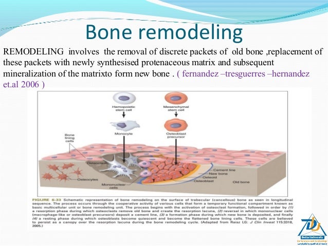 Alveolar bone in health and disease