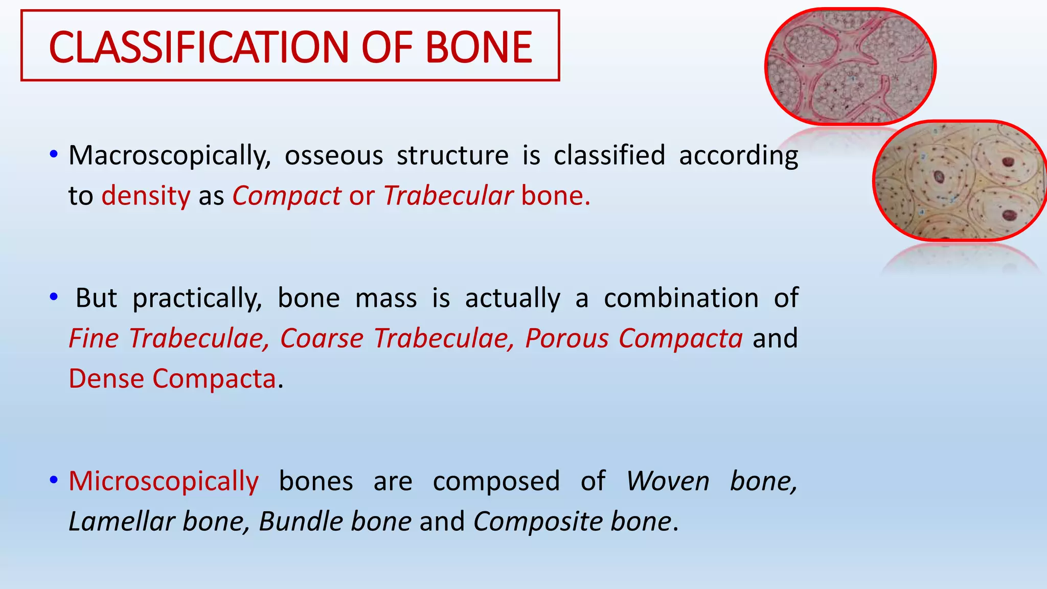 Alveolar bone in prosthodontics | PPTX