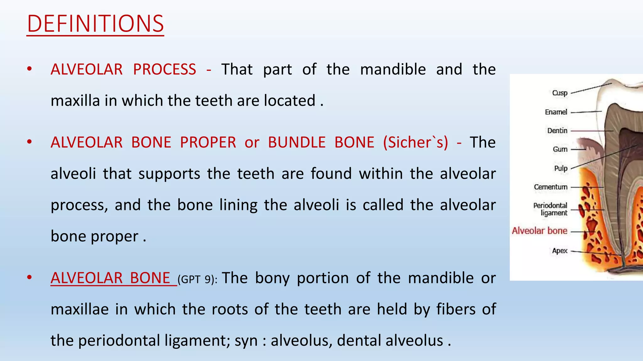 Alveolar bone in prosthodontics | PPTX
