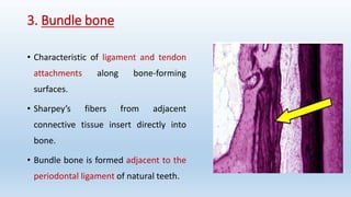 Alveolar bone in prosthodontics | PPTX