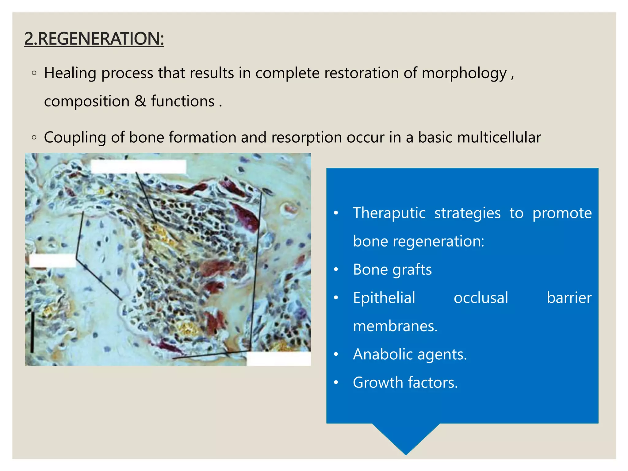 ALVEOLAR BONE IN STATE OF FLUX.pptx