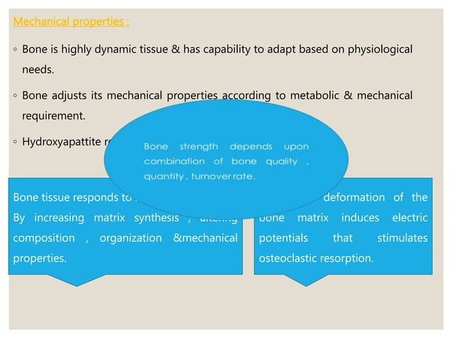 ALVEOLAR BONE IN STATE OF FLUX.pptx | Bone and Joint Conditions ...