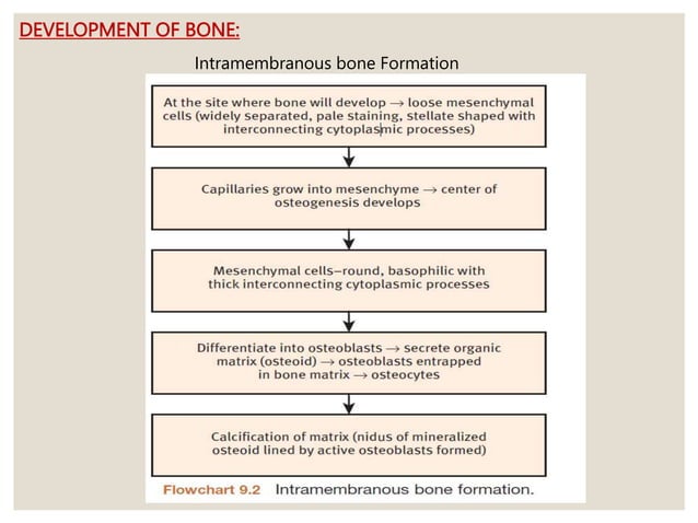 ALVEOLAR BONE IN STATE OF FLUX.pptx | Bone and Joint Conditions ...