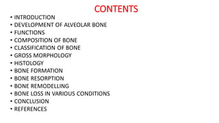Alveolarbone | PDF