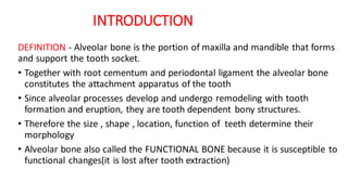 Alveolarbone | PDF