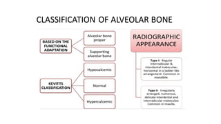 Alveolarbone | PDF