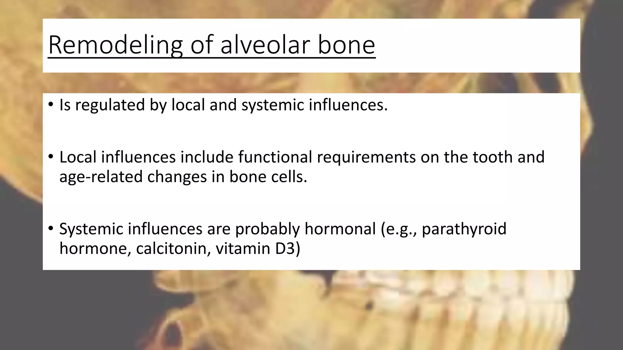 alveolar bone new.pptx