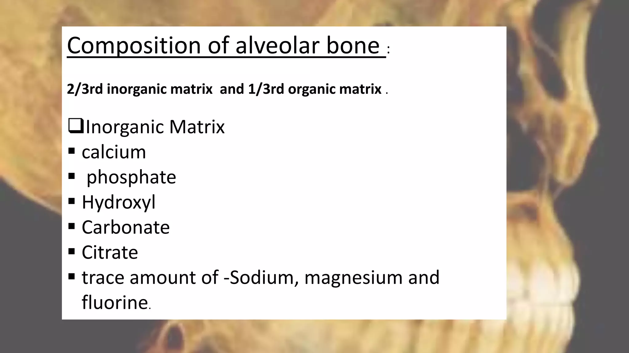 alveolar bone new.pptx