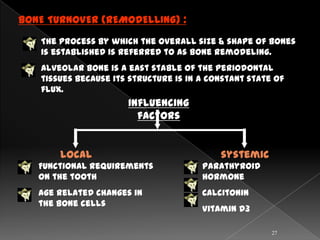 Alveolar bone | PPTX