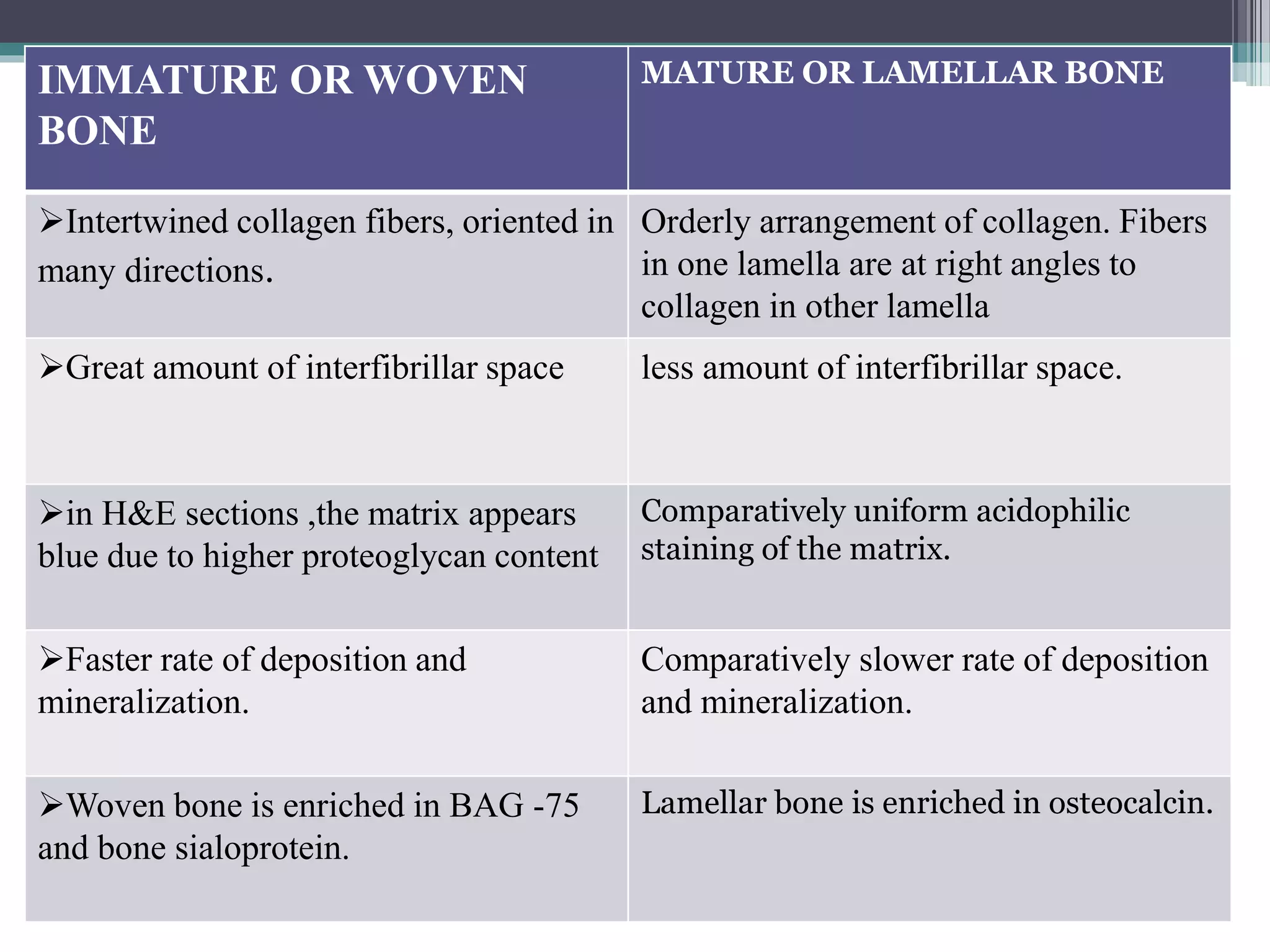 Alveolar bone ppt | PPTX