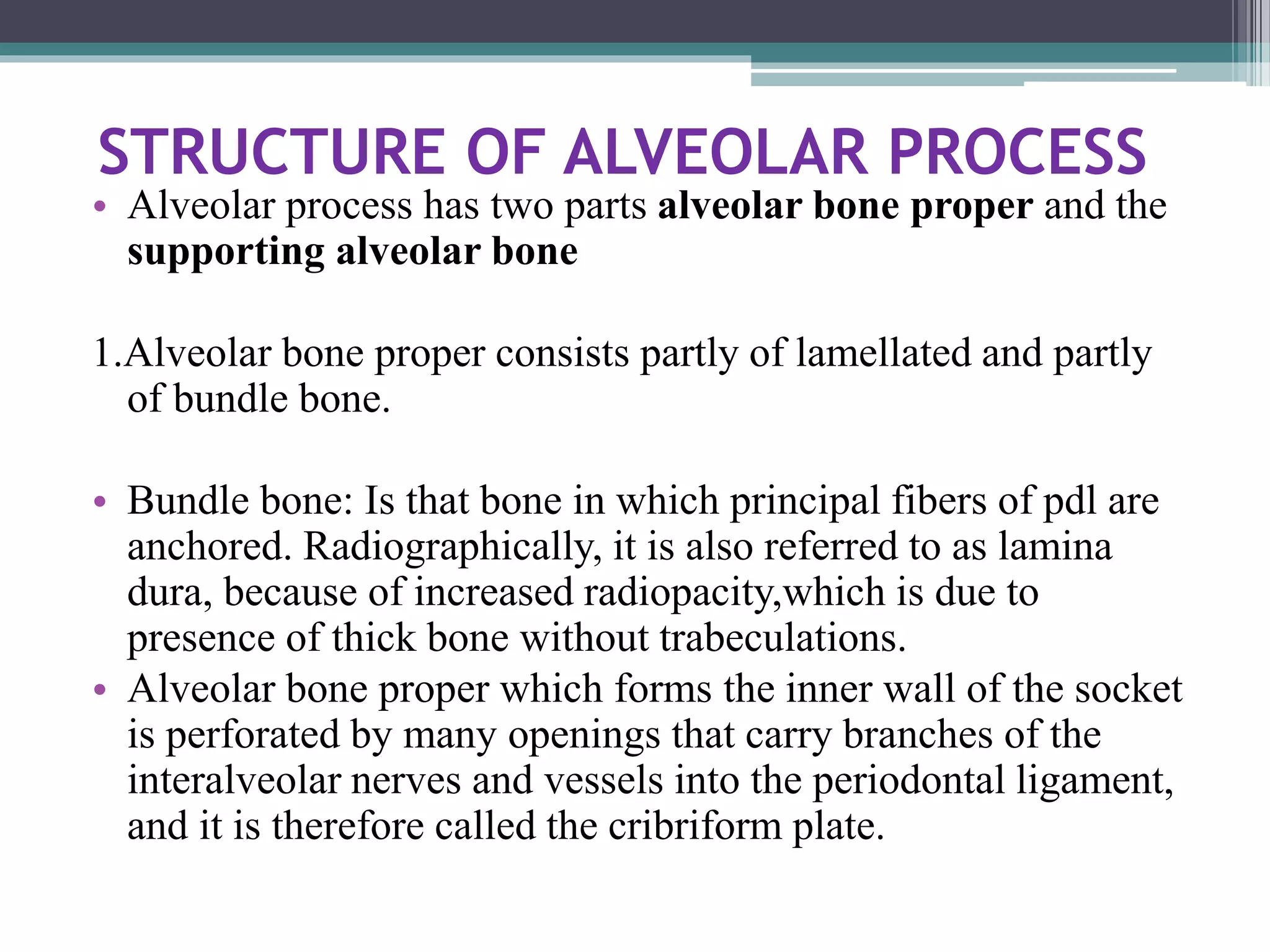 Alveolar bone ppt | PPTX