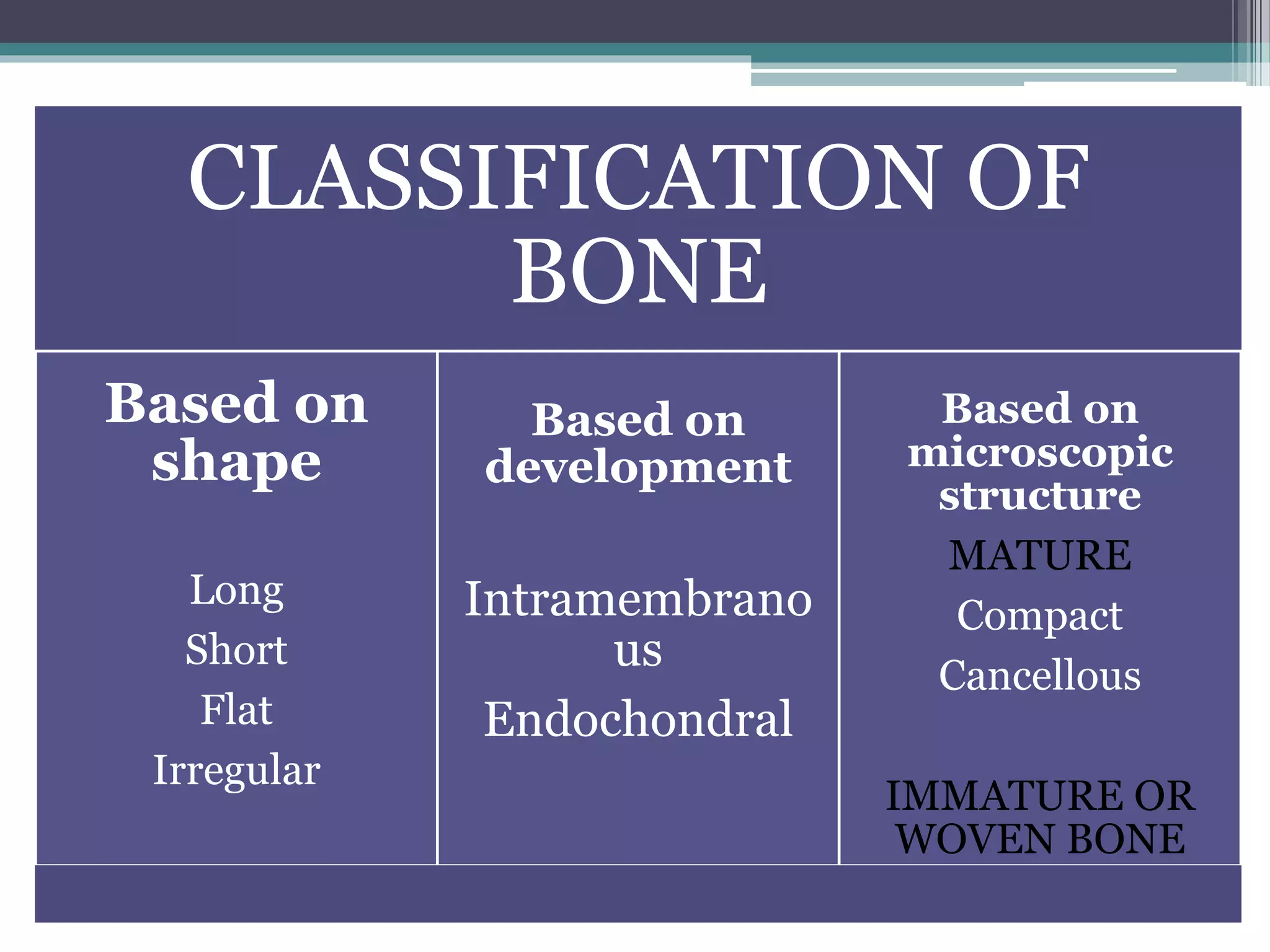 Alveolar bone ppt | PPTX