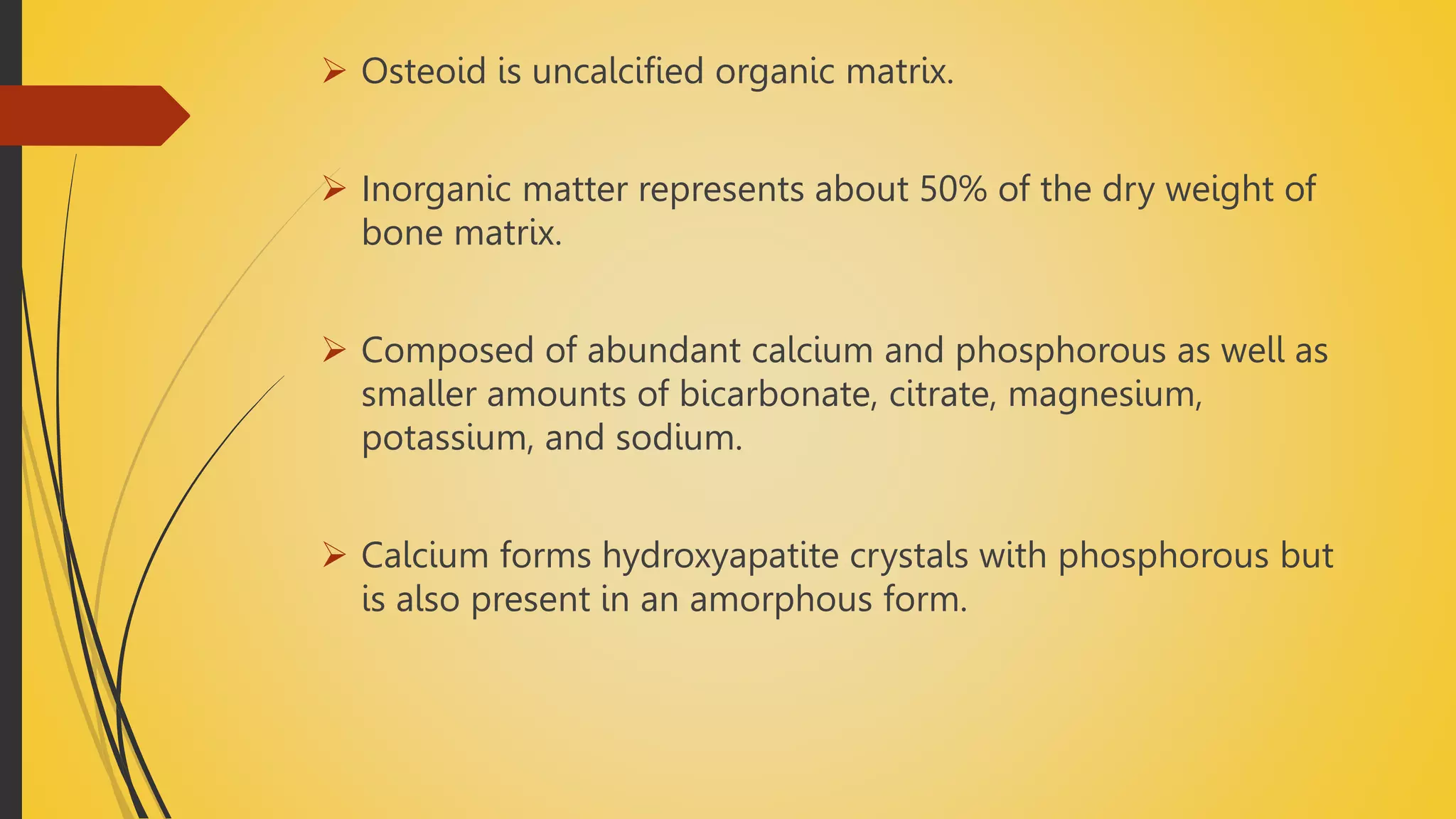 alveolar bone ppt.pptx