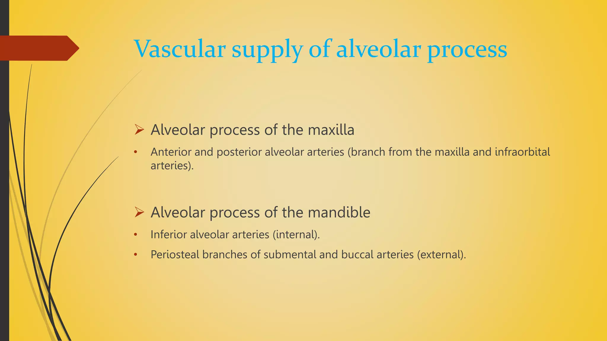 alveolar bone ppt.pptx