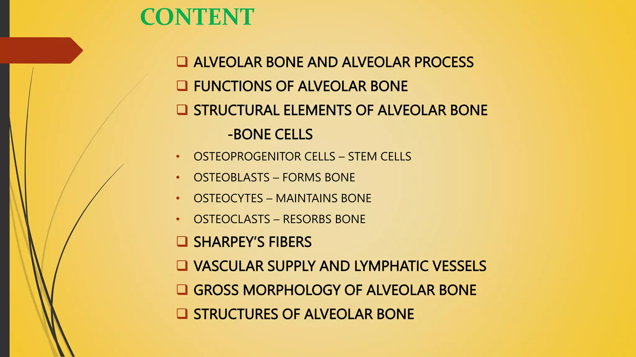 alveolar bone ppt.pptx