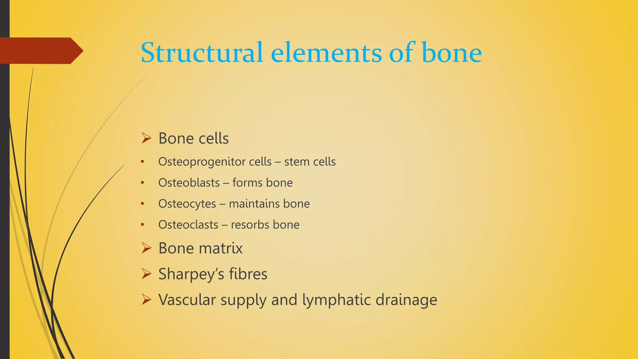alveolar bone ppt.pptx
