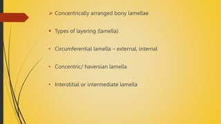 alveolar bone ppt.pptx