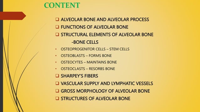 alveolar bone ppt.pptx