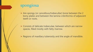 alveolar bone ppt.pptx