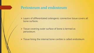 alveolar bone ppt.pptx