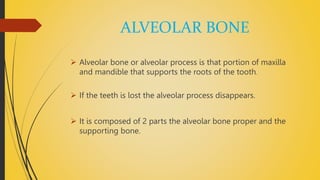 alveolar bone ppt.pptx
