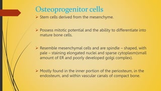 alveolar bone ppt.pptx