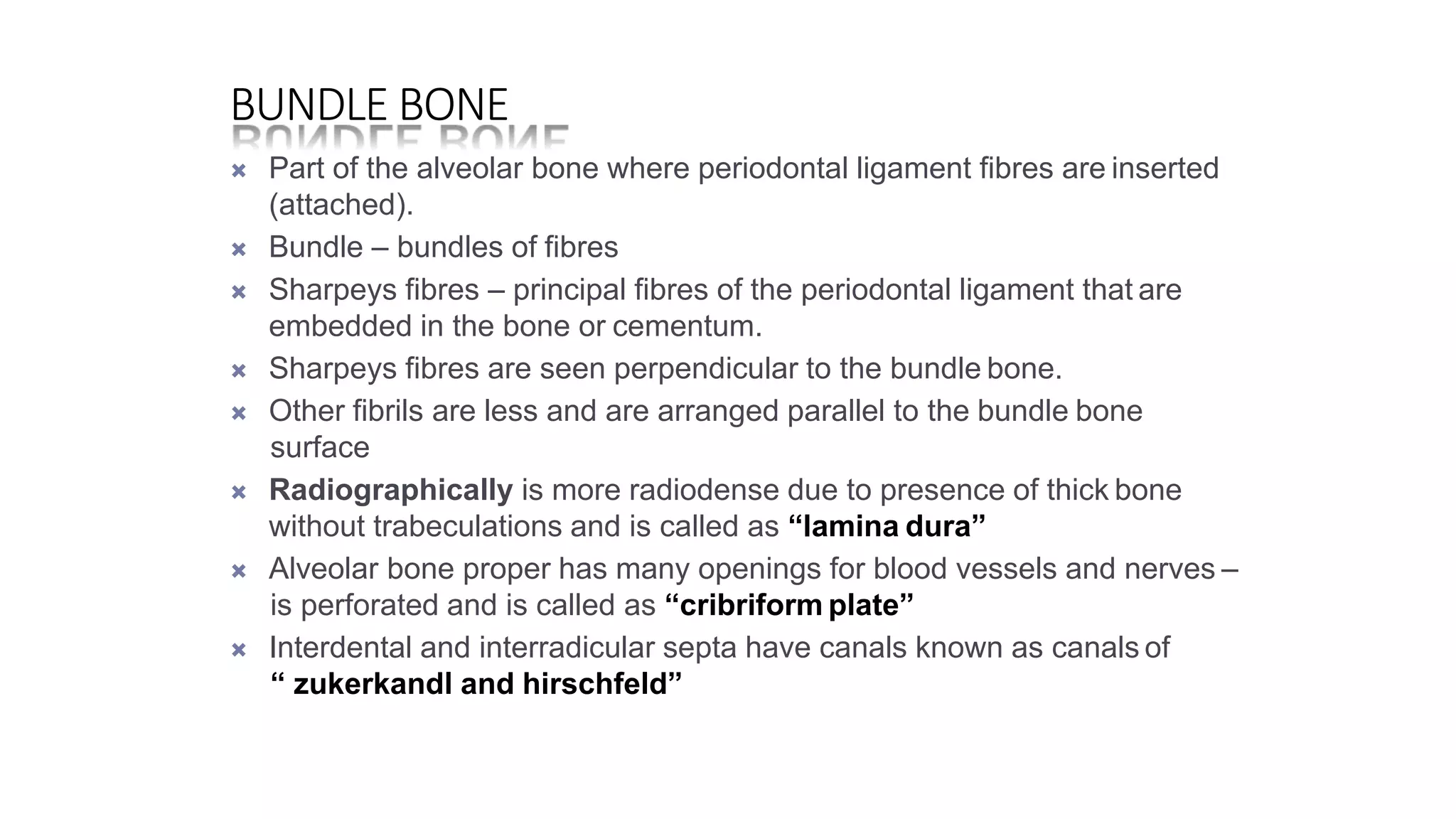 Alveolar bone simplified | PPTX