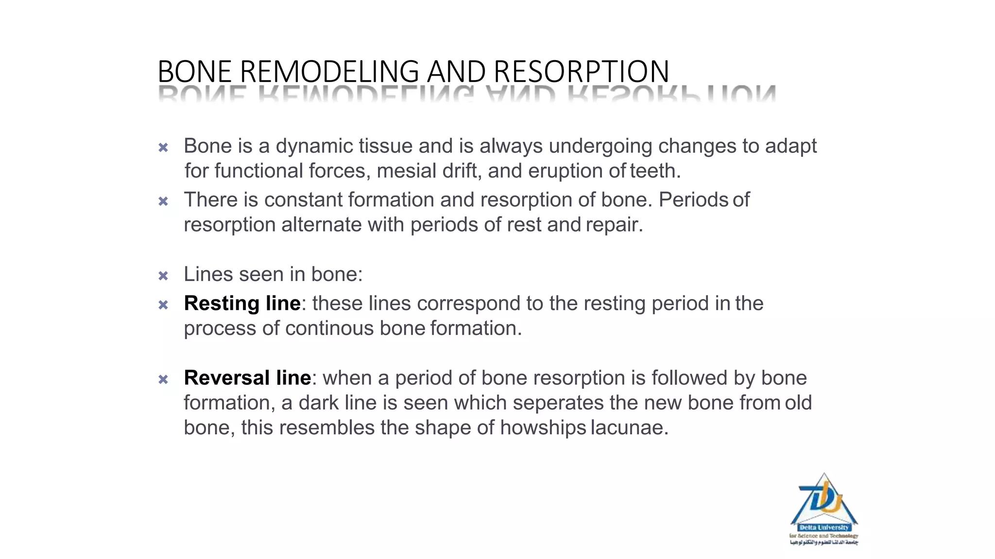 Alveolar bone simplified | PPTX