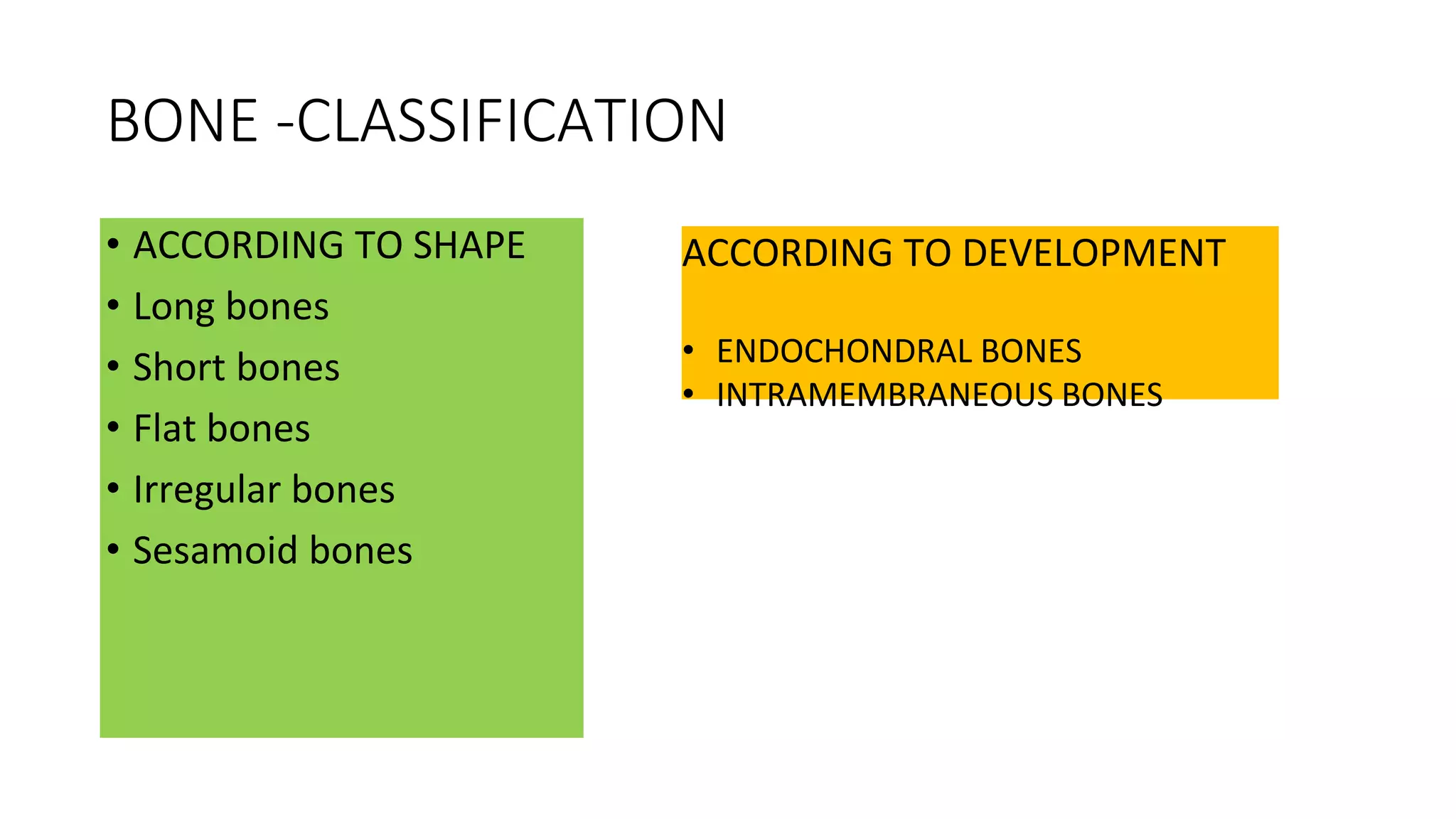 Alveolar bone simplified | PPTX