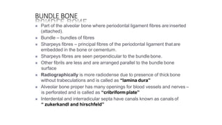 Alveolar bone simplified | PPTX