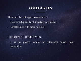 Alveolar process bds class | PPTX