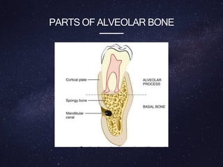 Alveolar process bds class | PPTX