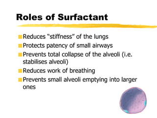 Alveolar Capillary Unit | PPT