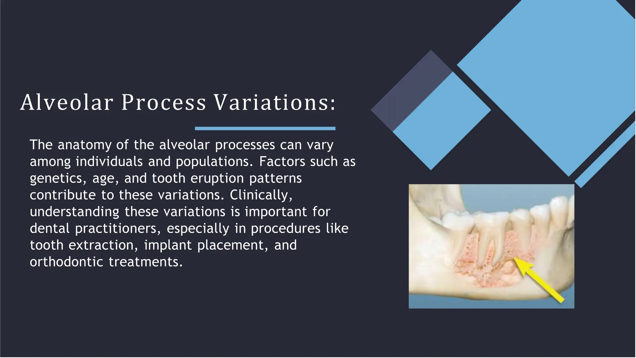 alveolar processes in mandible and tooth.pptx