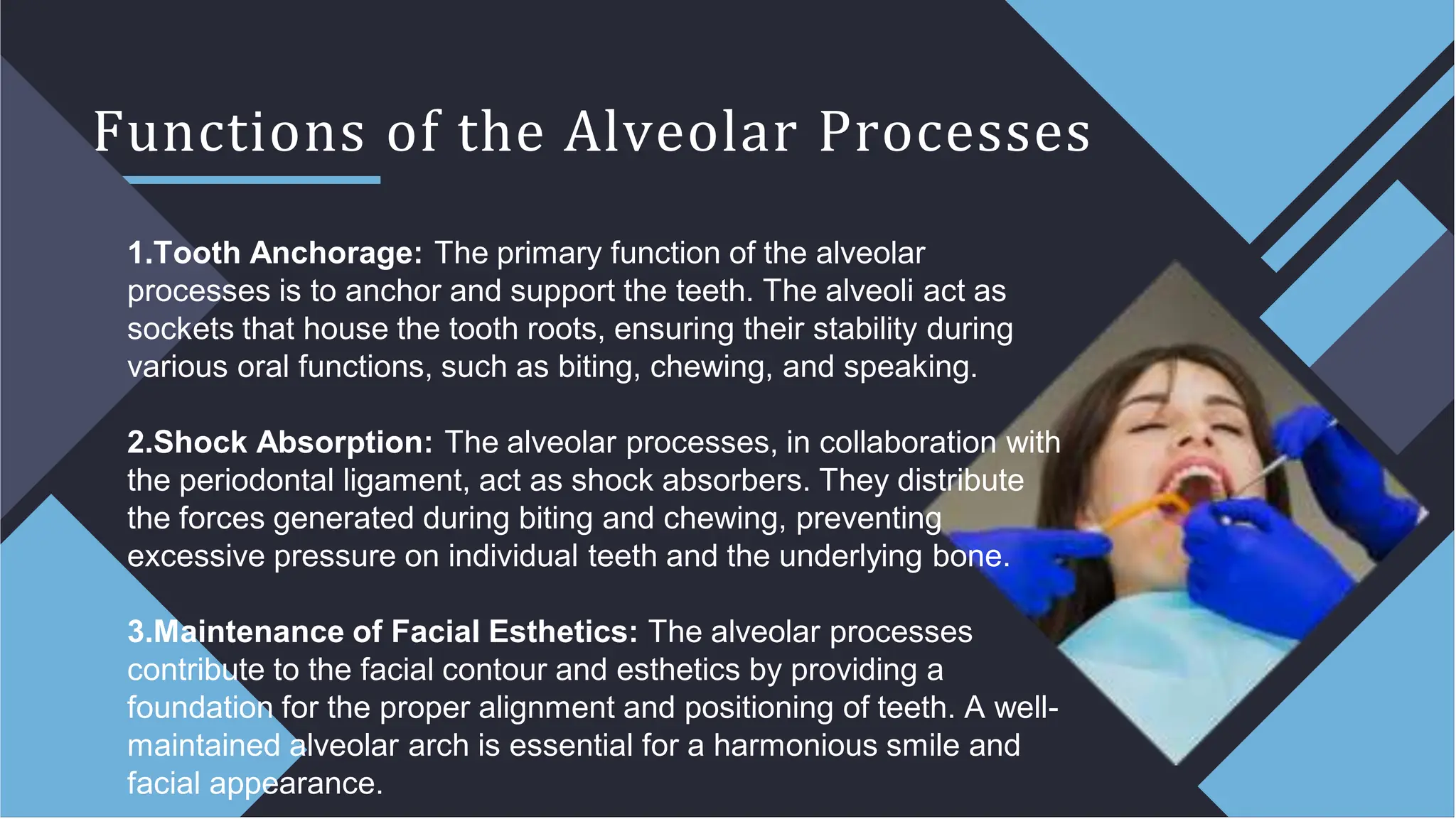 alveolar processes in mandible and tooth.pptx