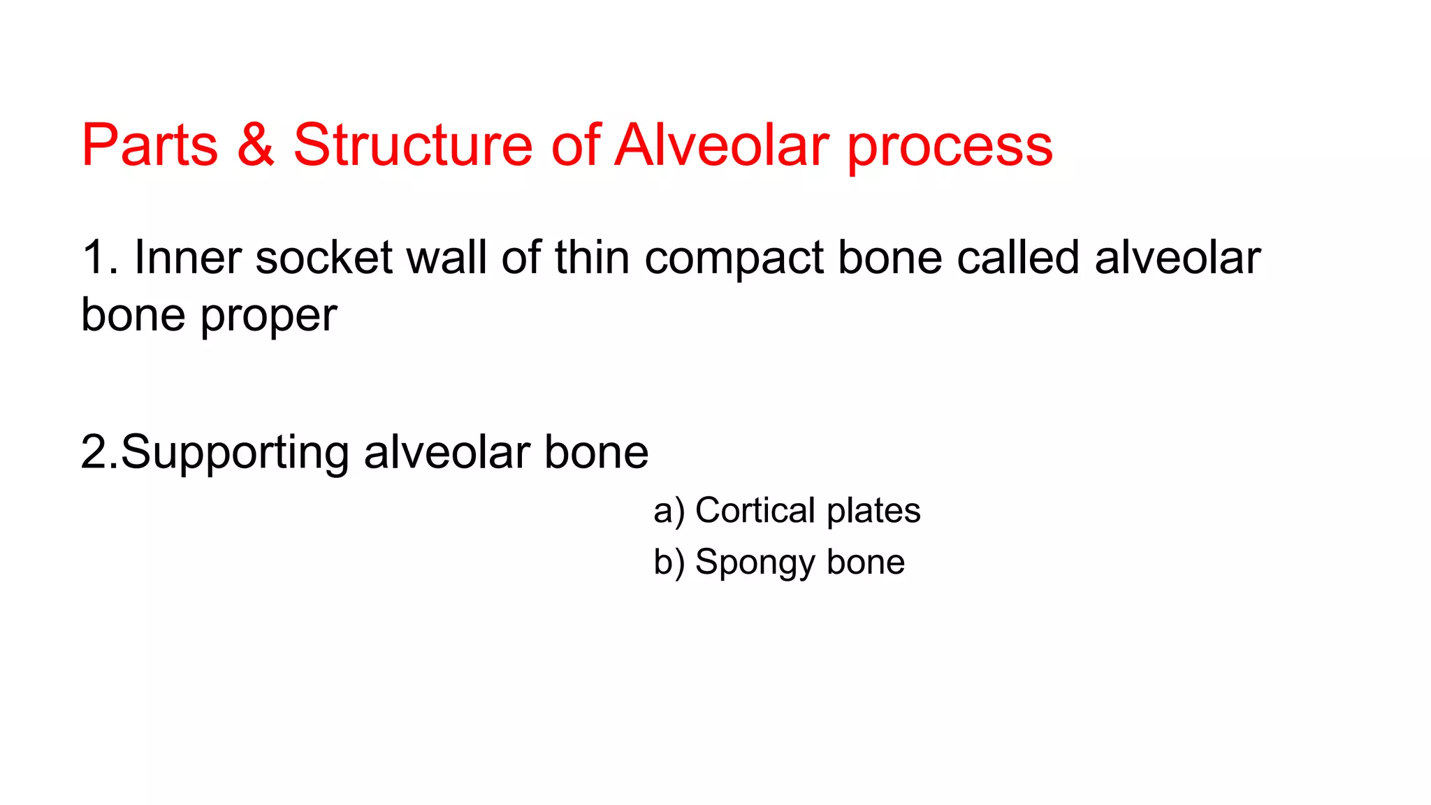 Alveolar bone ppt dental periodontic topic by channu m g 2k18 | PPTX