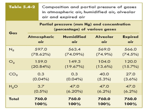 ALVEOLAR VENTILATION.ppt