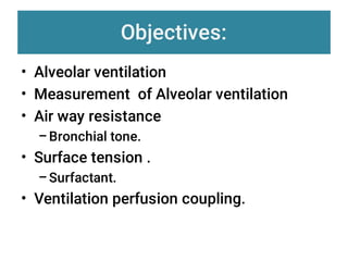 Alveolar ventlation.pdf | Lung and Respiratory Health | Diseases and ...