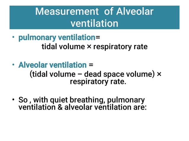 Alveolar ventlation.pdf