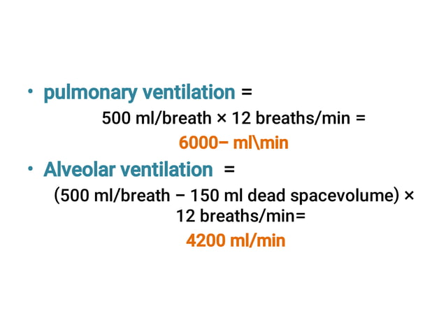 Alveolar ventlation.pdf