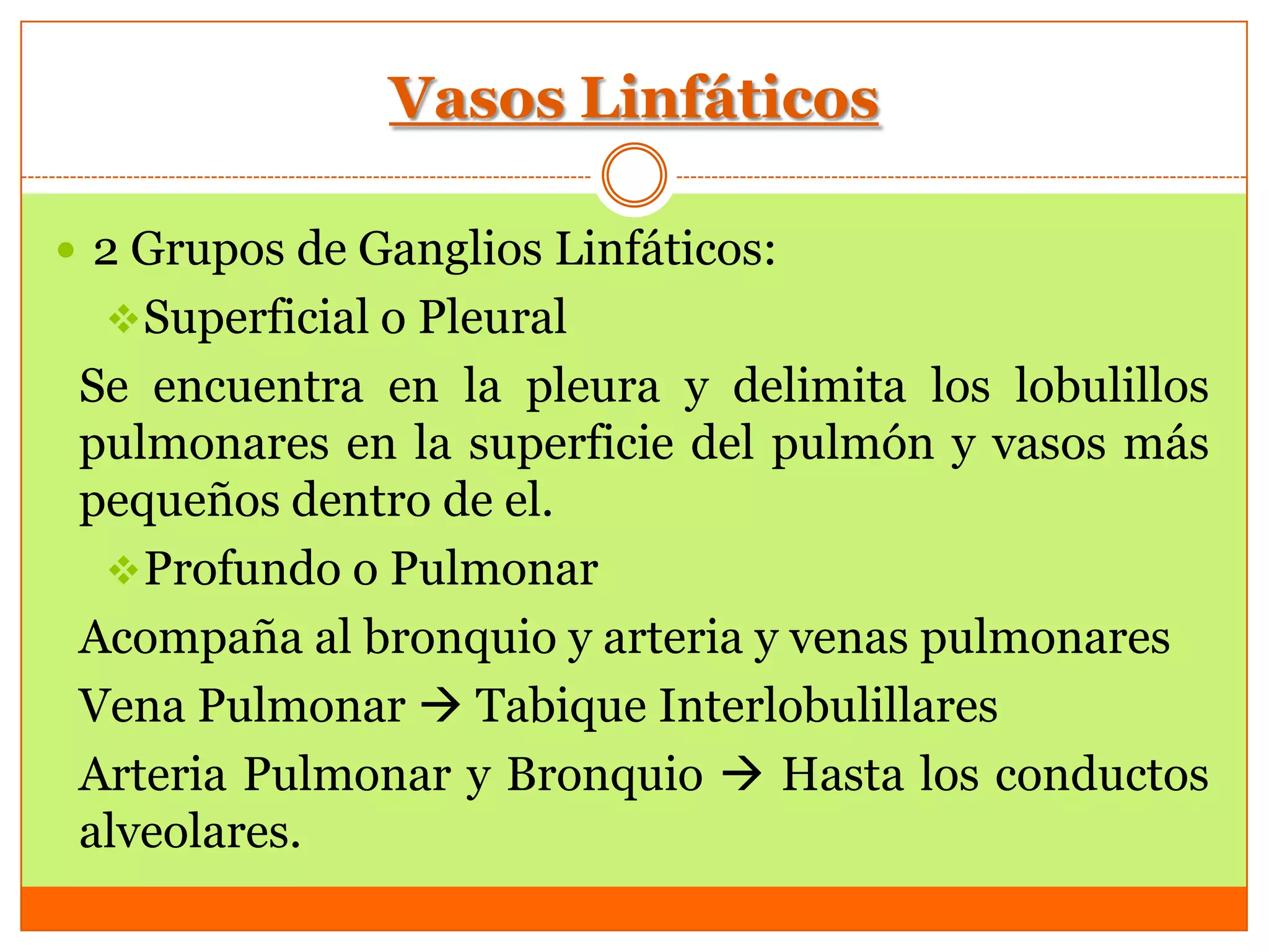 Alveolos Pulmonares Histología De Lesson Ppt