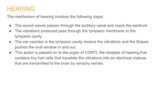 human ear and its function ppt | PPTX | Digital Audio | Computer ...