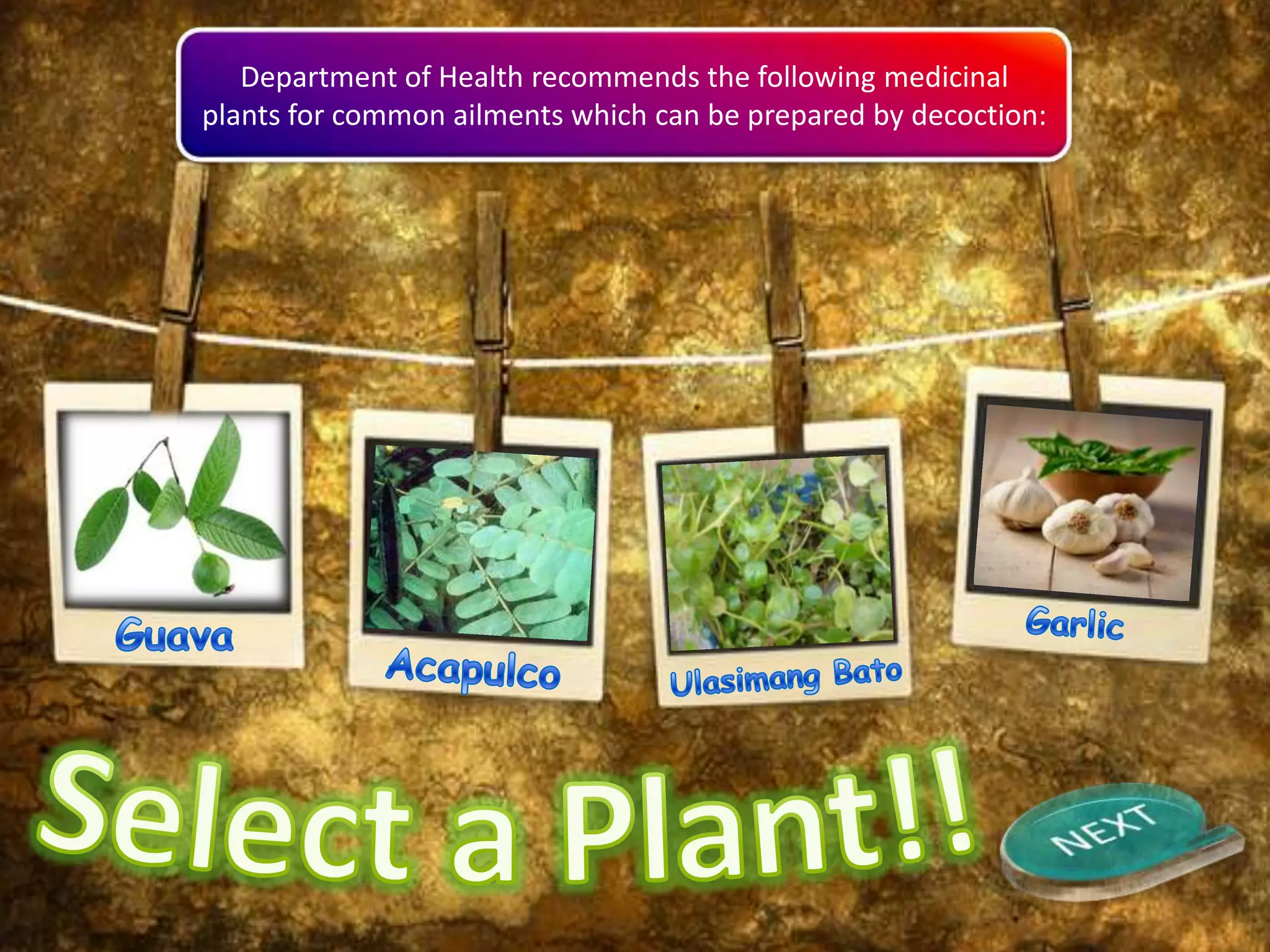 Medicinal Plants for Common Diseases | PPTX