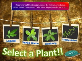 Medicinal Plants for Common Diseases | PPTX