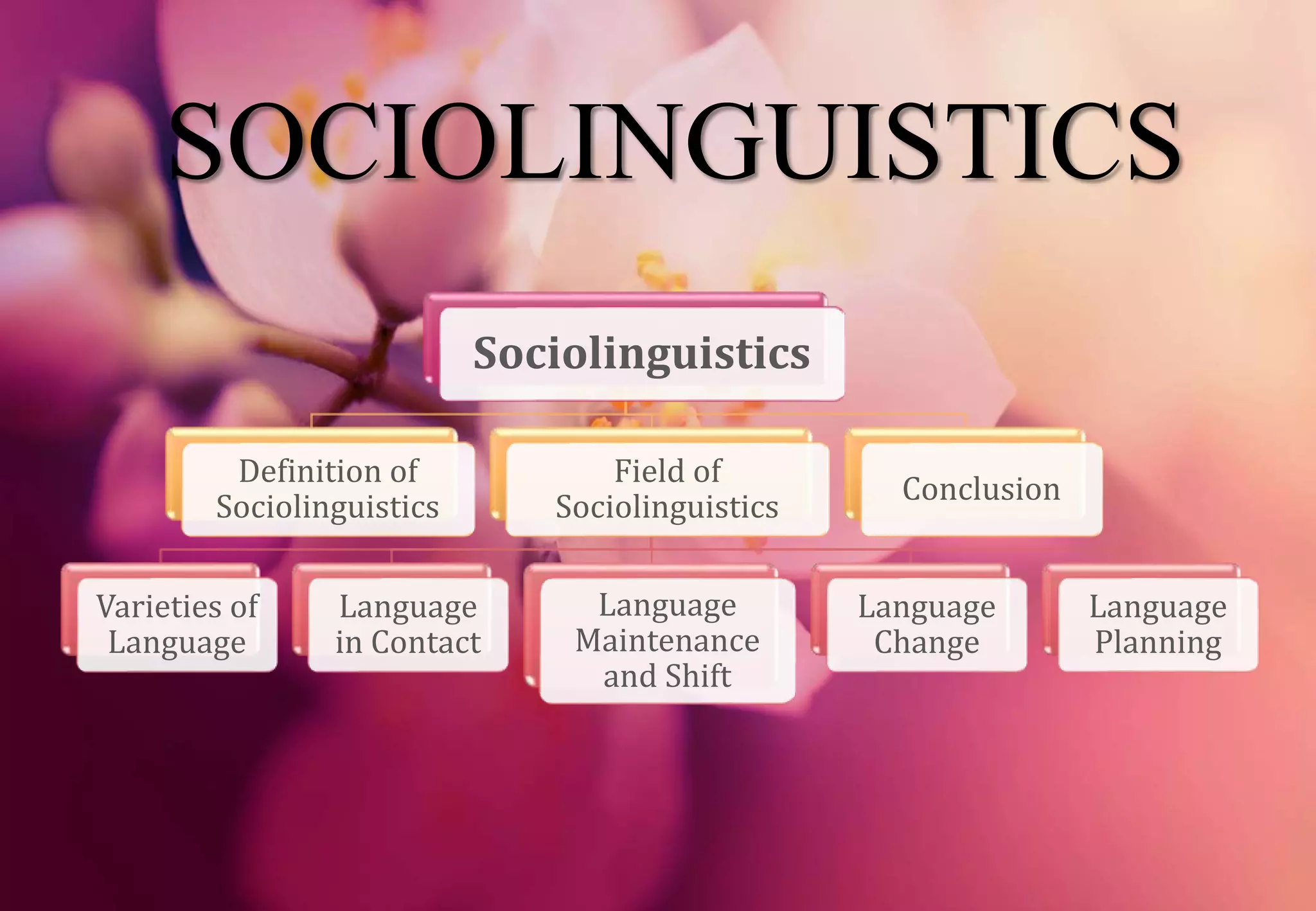 Sociolinguistics | PPTX