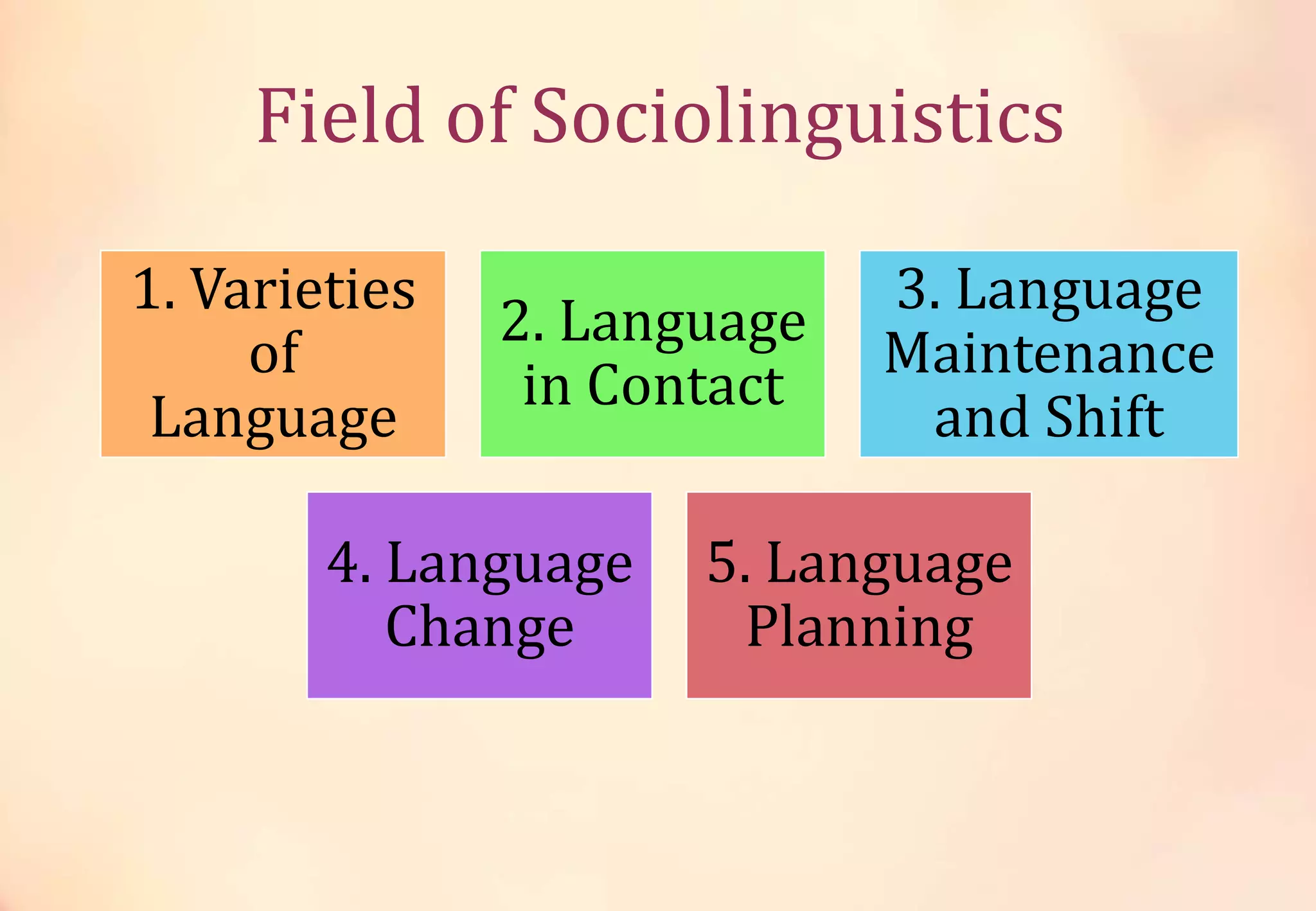 Sociolinguistics | PPTX